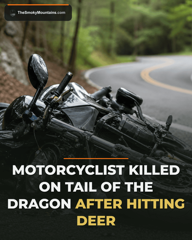 Fatal Motorcycle Crash on Tail of the Dragon Claims Life of